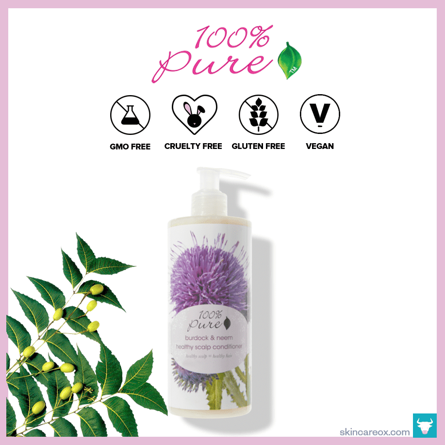 23 Best Natural & Nourishing Hair Conditioners of 2021