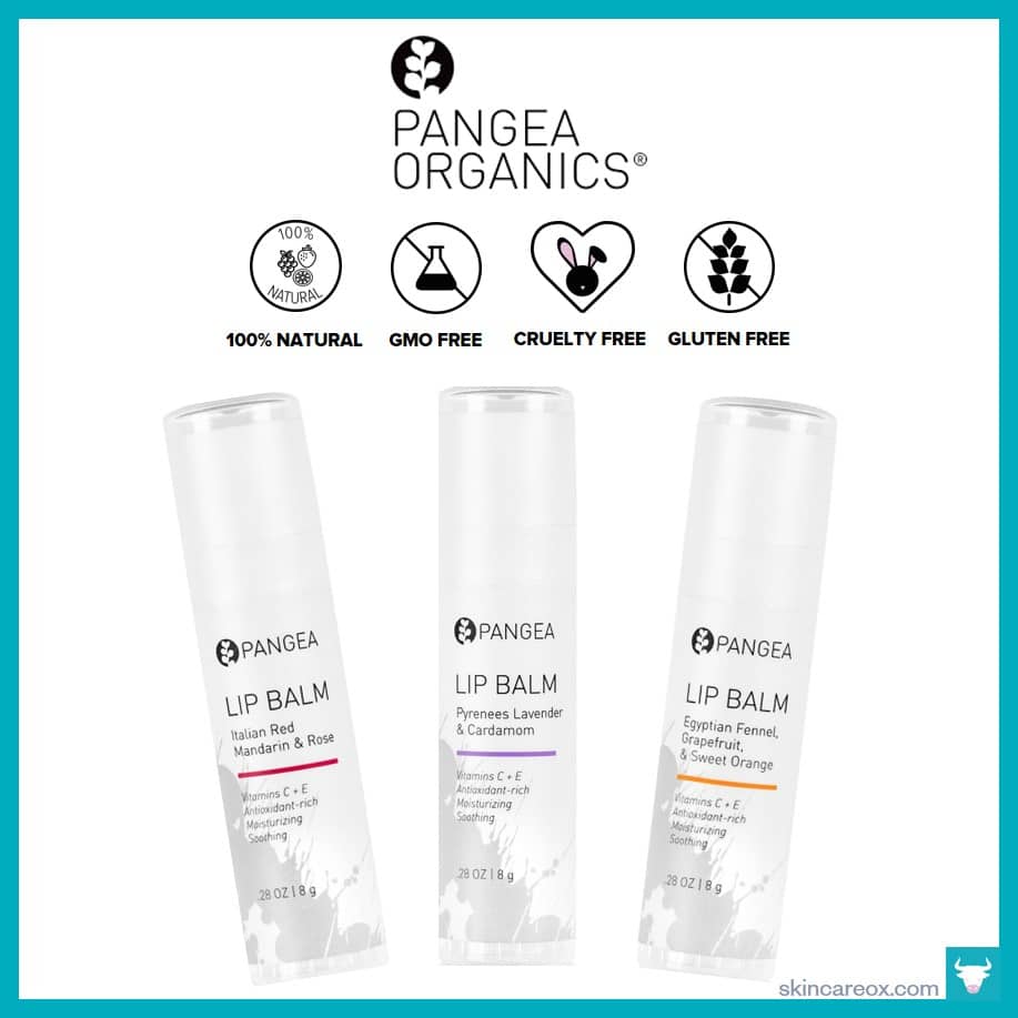 The Best Natural & Organic Lip Balms of 2021